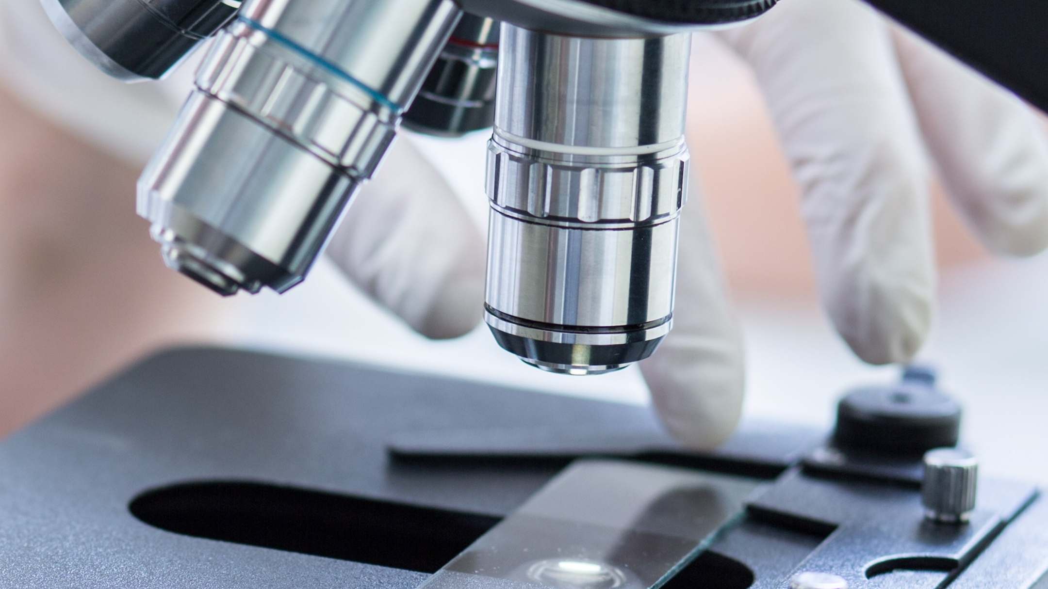 Department of Pathology and Laboratory Medicine | Robert Wood Johnson ...