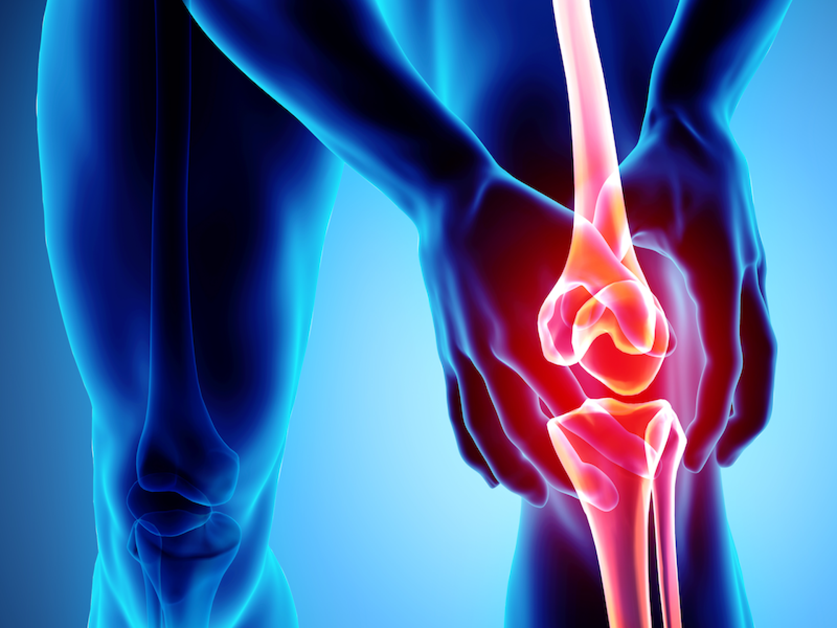 Department of Orthopaedic Surgery | Robert Wood Johnson Medical School