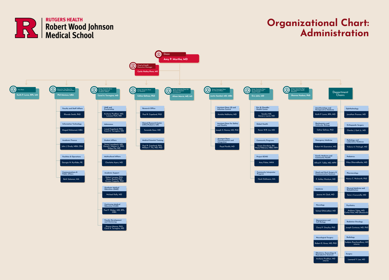 Organizational Chart | Robert Wood Johnson Medical School